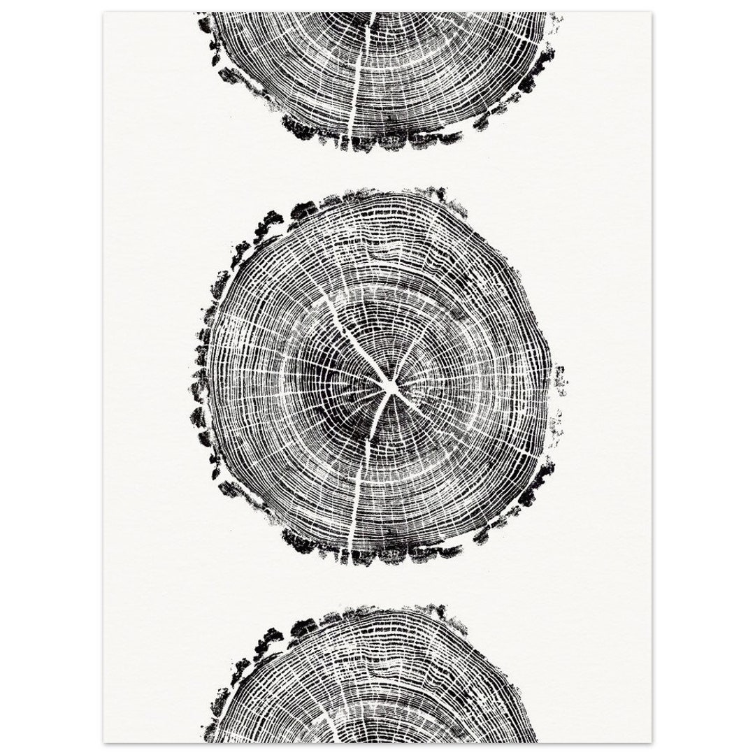 Ash Pattern Relief Print - Wood Rings - Matte Paper Wall Art - Elegant ...