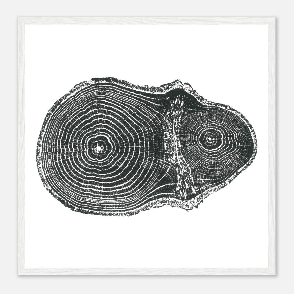 Hickory Crotch Tree Rings Relief Print Framed Wall Art - Etsy