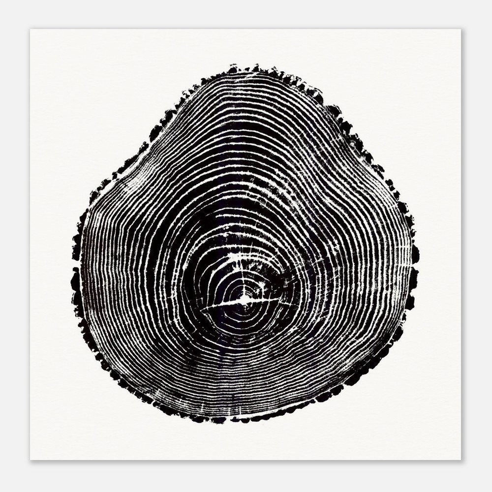 Mulberry Wood Tree Rings Relief Print Wall Art - Etsy