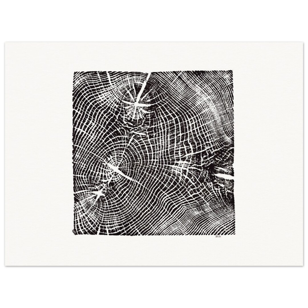 Maple Block Tree Ring Relief Print - Matte Paper Wall Art - Elegant ...