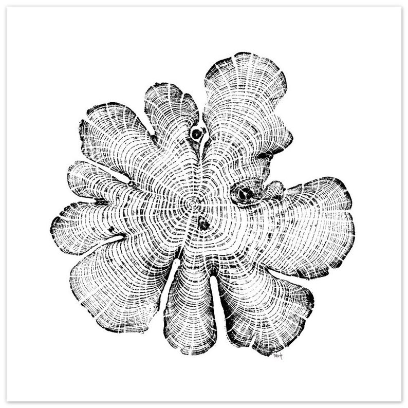 North Carolina Red Cedar Tree Rings Relief Print - Matte Paper Wall Art ...