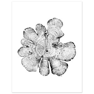 North Carolina Red Cedar Tree Rings Relief Print - Matte Paper Wall Art ...