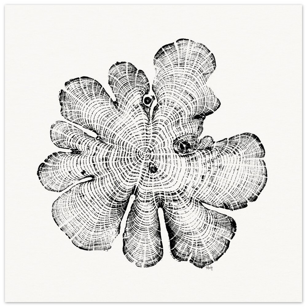 North Carolina Red Cedar Tree Rings Relief Print - Matte Paper Wall Art ...