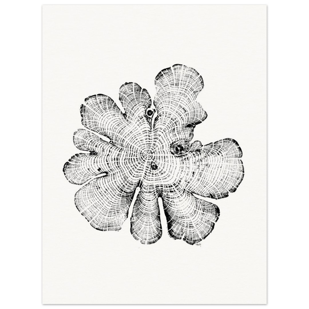 North Carolina Red Cedar Tree Rings Relief Print - Matte Paper Wall Art ...