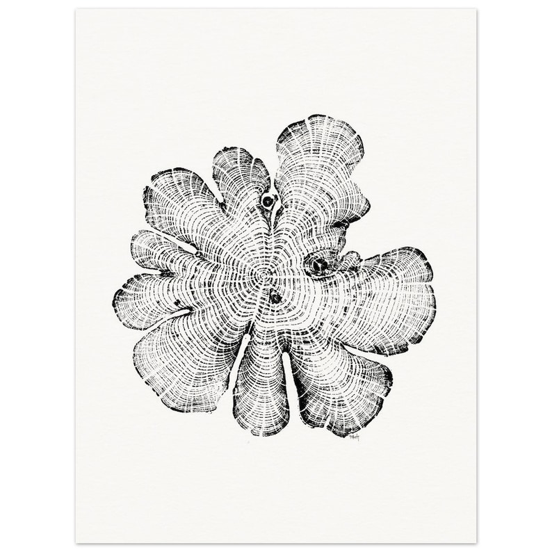North Carolina Red Cedar Tree Rings Relief Print - Matte Paper Wall Art ...