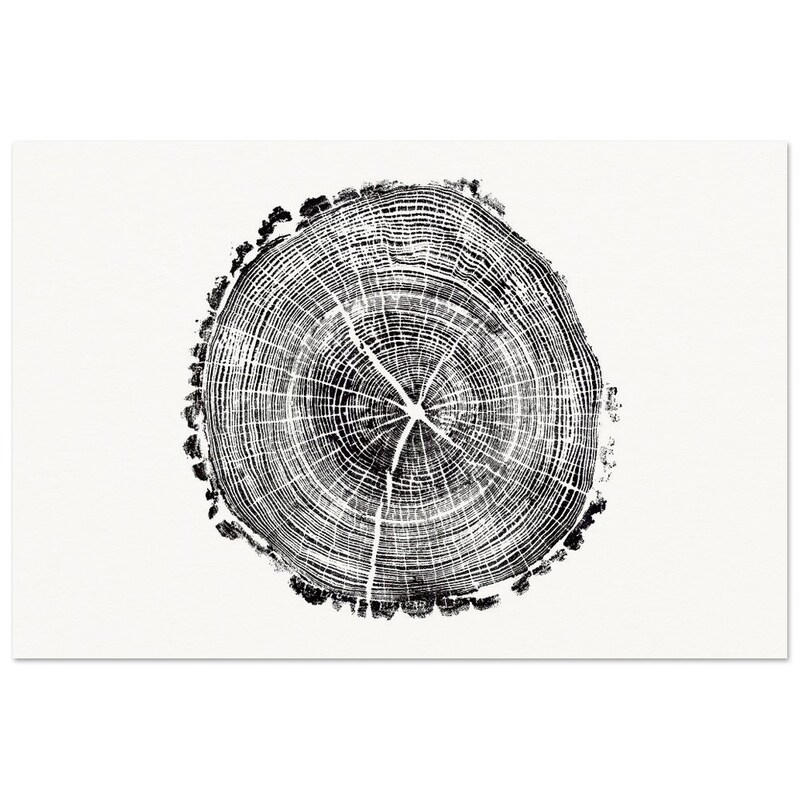 Large Wall Art Ash Tree - Etsy