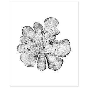 North Carolina Red Cedar Tree Rings Relief Print - Matte Paper Wall Art ...