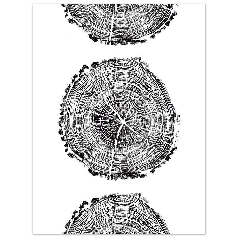 Ash Pattern Relief Print - Wood Rings - Matte Paper Wall Art - Elegant ...