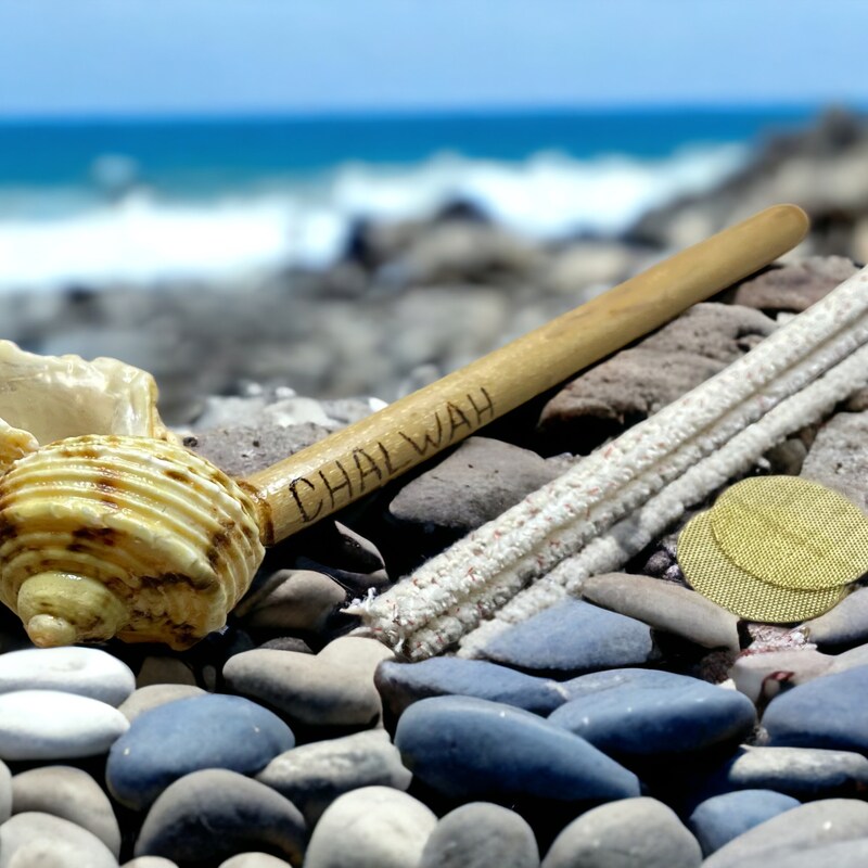 Seashell Pipe - Etsy