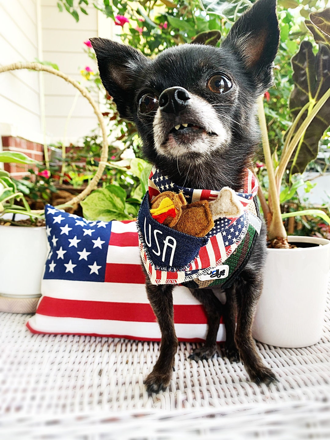 American Flag Dog Bandana, Independence Day Dog Bandana, Memorial Day ...