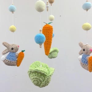 Beautiful Peter Rabbit Beatrix Potter Themed Hand Crocheted Baby ...