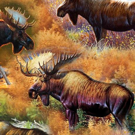 Magnificent Moose Fabric Collection - Etsy