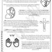Reconciliation Review Worksheet, Confession, Sacrament of ...