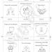 Parts of the Mass Worksheet, Catholic Mass Worksheet - Etsy