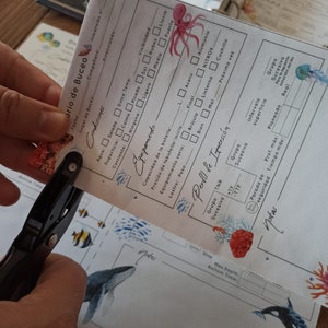 A5 and A4 Templates in Downloadable PDF Format. Illustrated Dive Log ...
