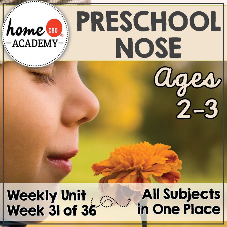 Preschool Homeschool Nose Unit - Etsy UK