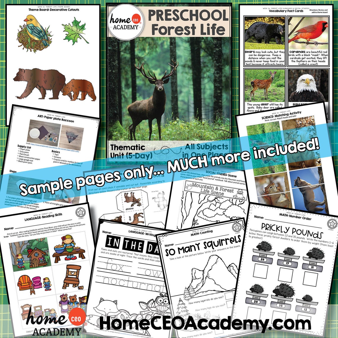 Preschool Forest Life - Etsy