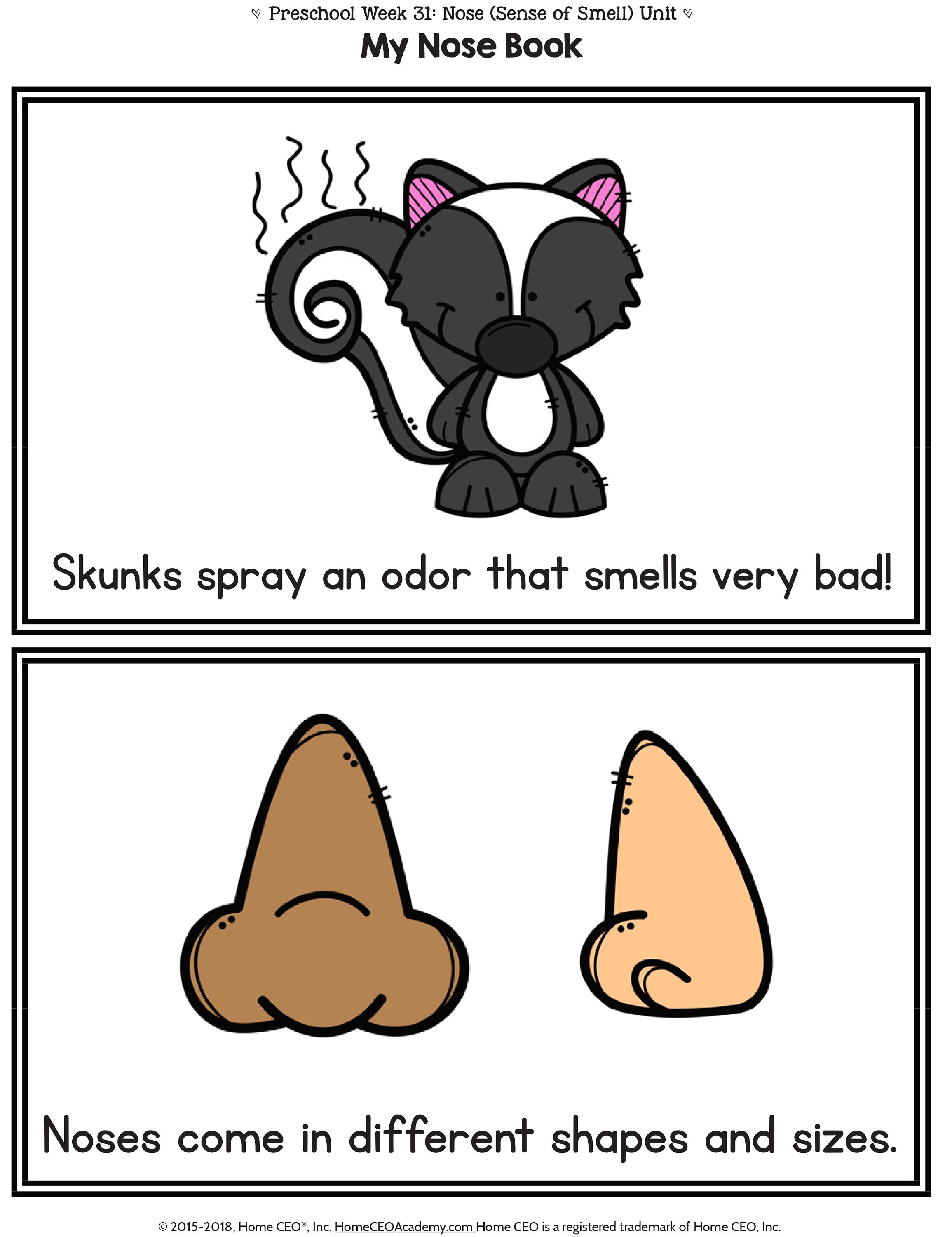 Preschool Homeschool Nose Unit - Etsy UK