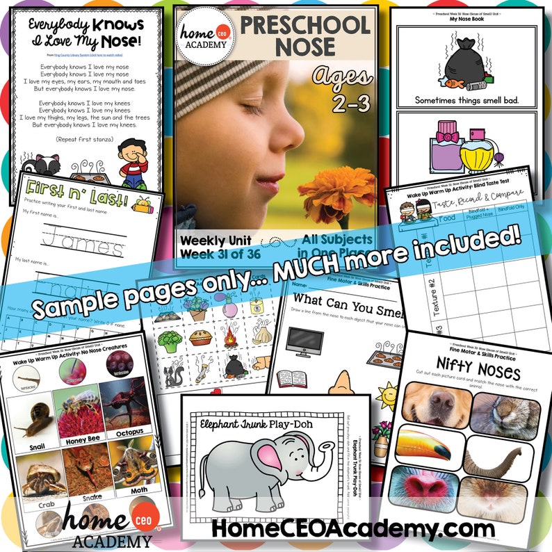 Preschool Homeschool Nose Unit - Etsy UK
