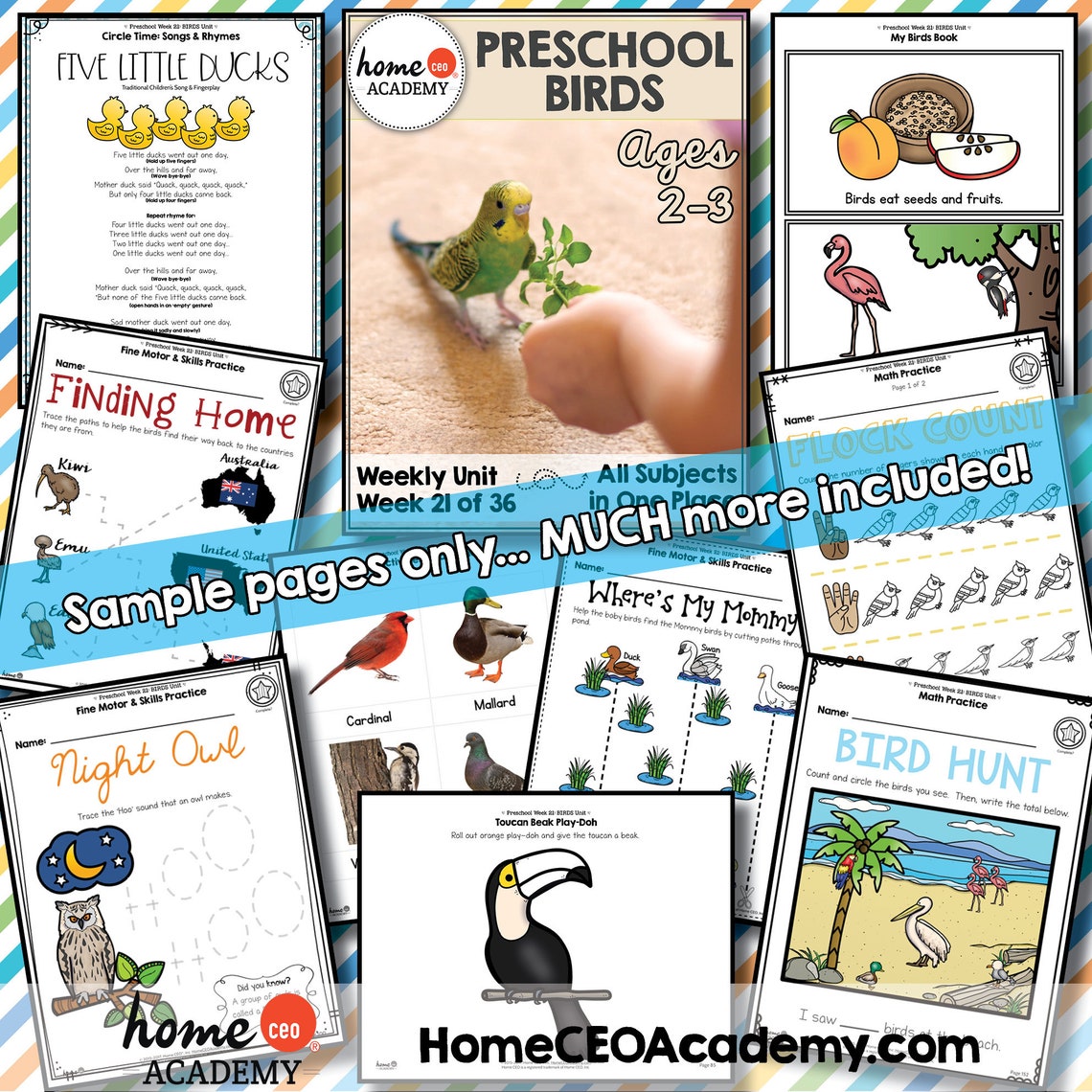 Preschool Homeschool Birds Unit - Etsy