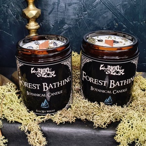 Forest Bathing / Hedge Witch Gift, Crystal Healing Candle, Vegan Candle ...