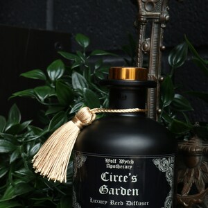 Circe Goddess Gift, Gothic Reed Diffuser, Greek Mythology Gift, Apothecary Bottle Reed Diffuser ...