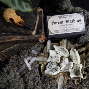 Forest Bathing / Vegan Wax Melts, Botanical Wax Melts, Dark Academia ...