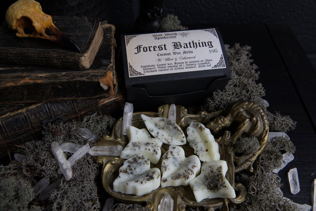 Forest Bathing / Vegan Wax Melts, Botanical Wax Melts, Dark Academia ...