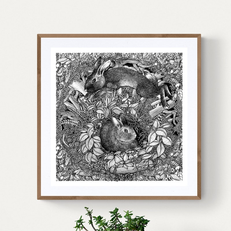 Rabbit Drawing - Etsy