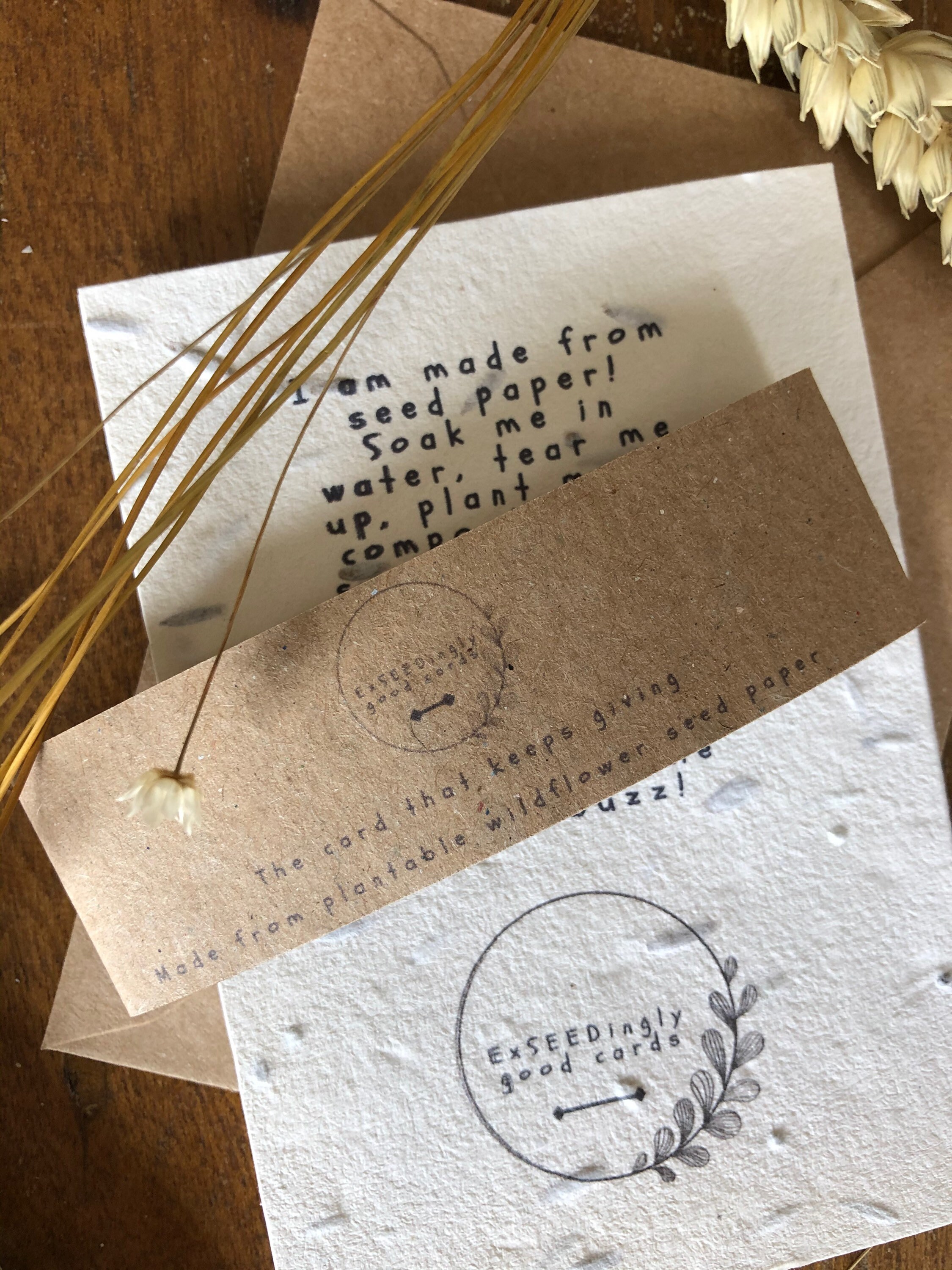 Adios Amigo Goodbye Card Made From Plantable Seed Paper - Etsy