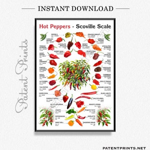Fiery Hot Chili Pepper Poster | Scoville Scale Art Decor - Etsy