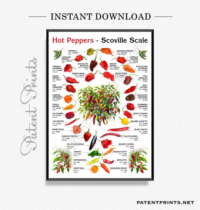 PatentPrintsPosters - Etsy