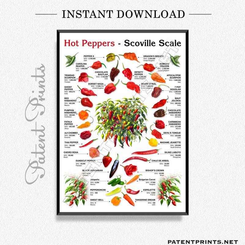 PatentPrintsPosters - Etsy