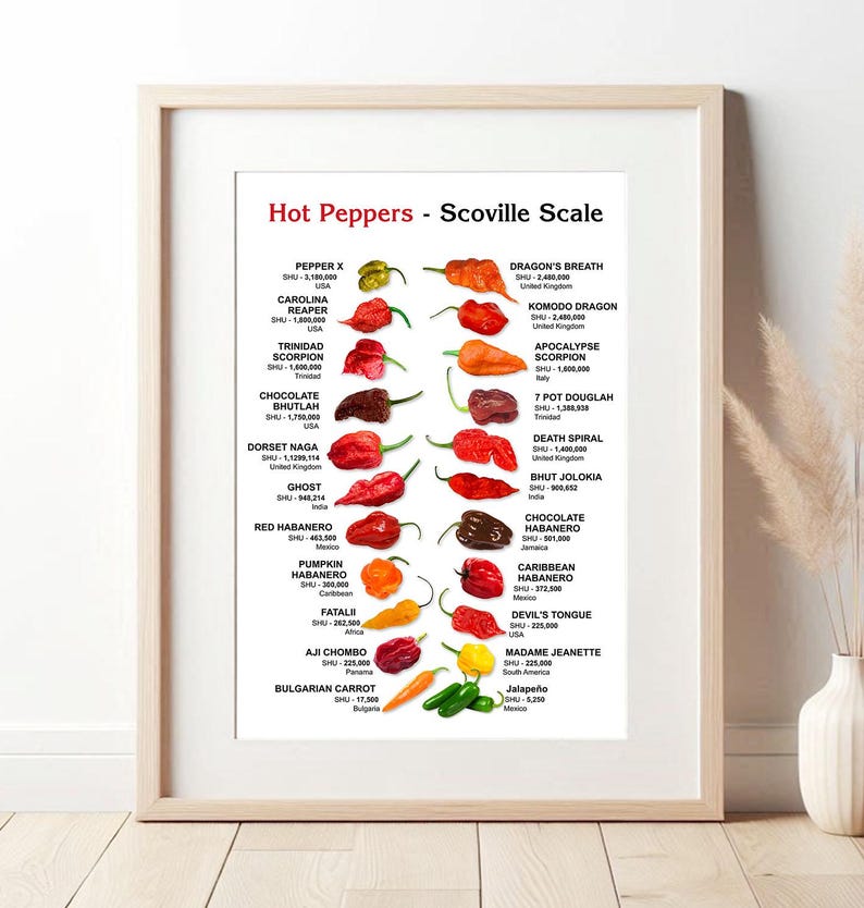 Chili Pepper Decor | Vibrant Scoville Scale Poster Art - Etsy