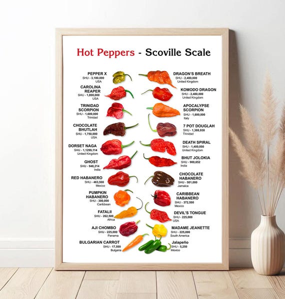 Hot Pepper Scale Poster