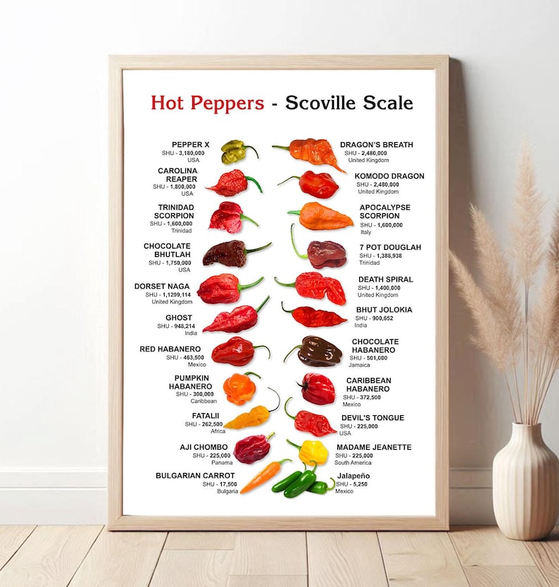 Chili Pepper Decor | Vibrant Scoville Scale Poster Art - Etsy
