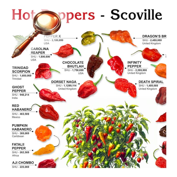 Types Of Chili Peppers Chart