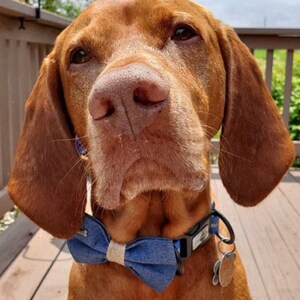 Denim Dog Bow - Etsy