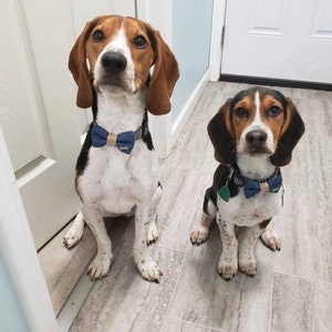 Denim Dog Bow - Etsy
