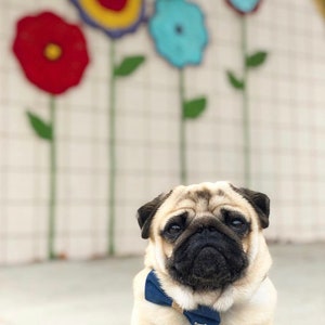 Denim Dog Bow - Etsy