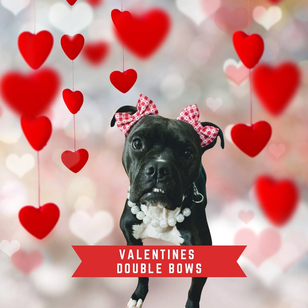 Valentine's Double Bows on Nylon Headband - Etsy
