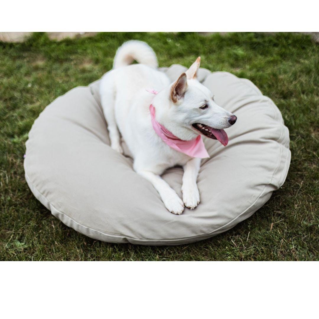 Organic Cotton Canvas and Wool Filled Dog Bed - Etsy