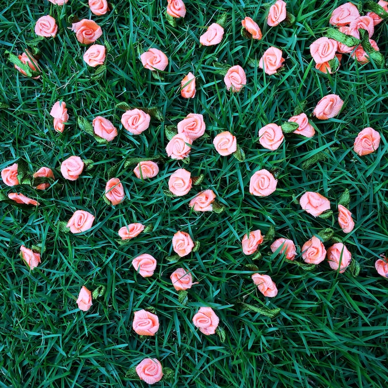 Assorted Multicolor Rose Buds Mini Satin Rose Variety Mix - Etsy