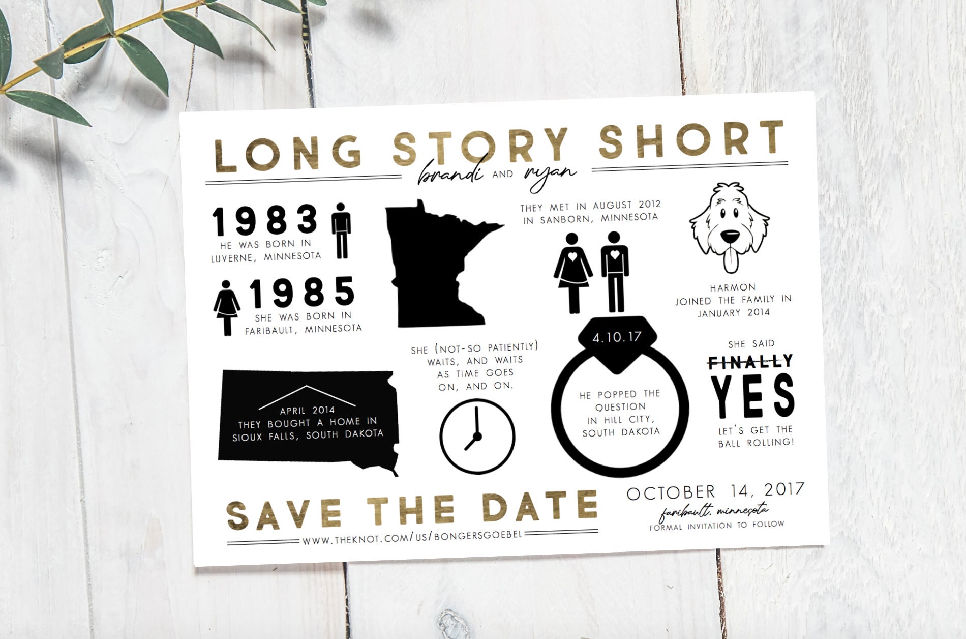 Mini Story Wedding Invitations
