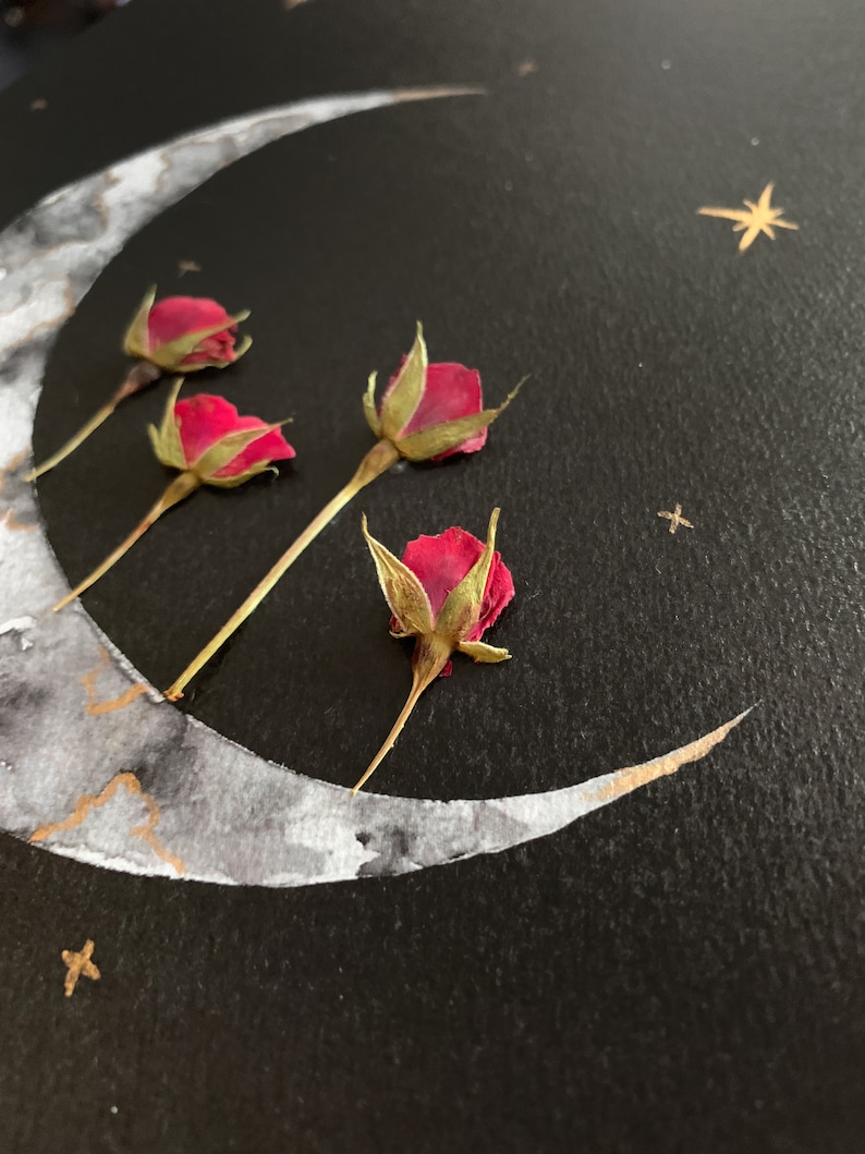 EMBELLISHED PRINT: "crimson Rose Crescent" | Real Pressed Flowers ...