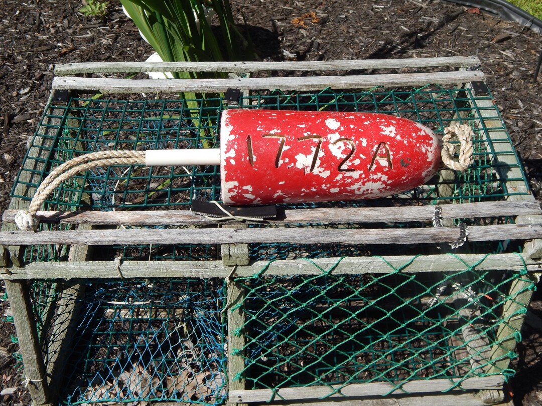 927 FREE SHIPPING Maine Lobster Buoy Bouy Pot Float Shrimp Crayfish ...