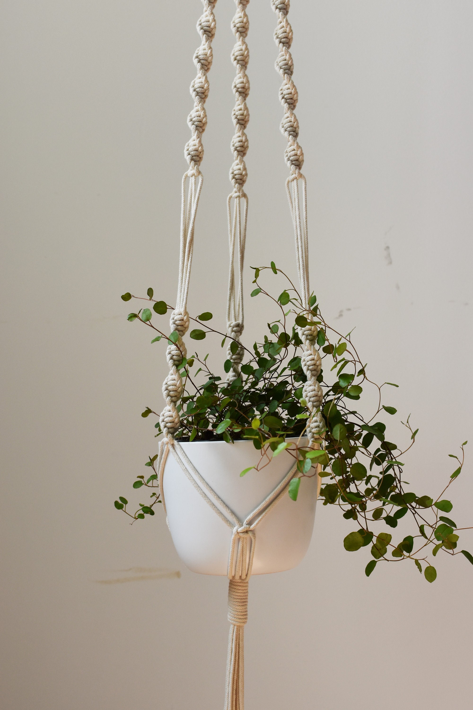 EASY Macrame Pattern for Modern Plant Hanger BEGINNER Diy - Etsy Canada