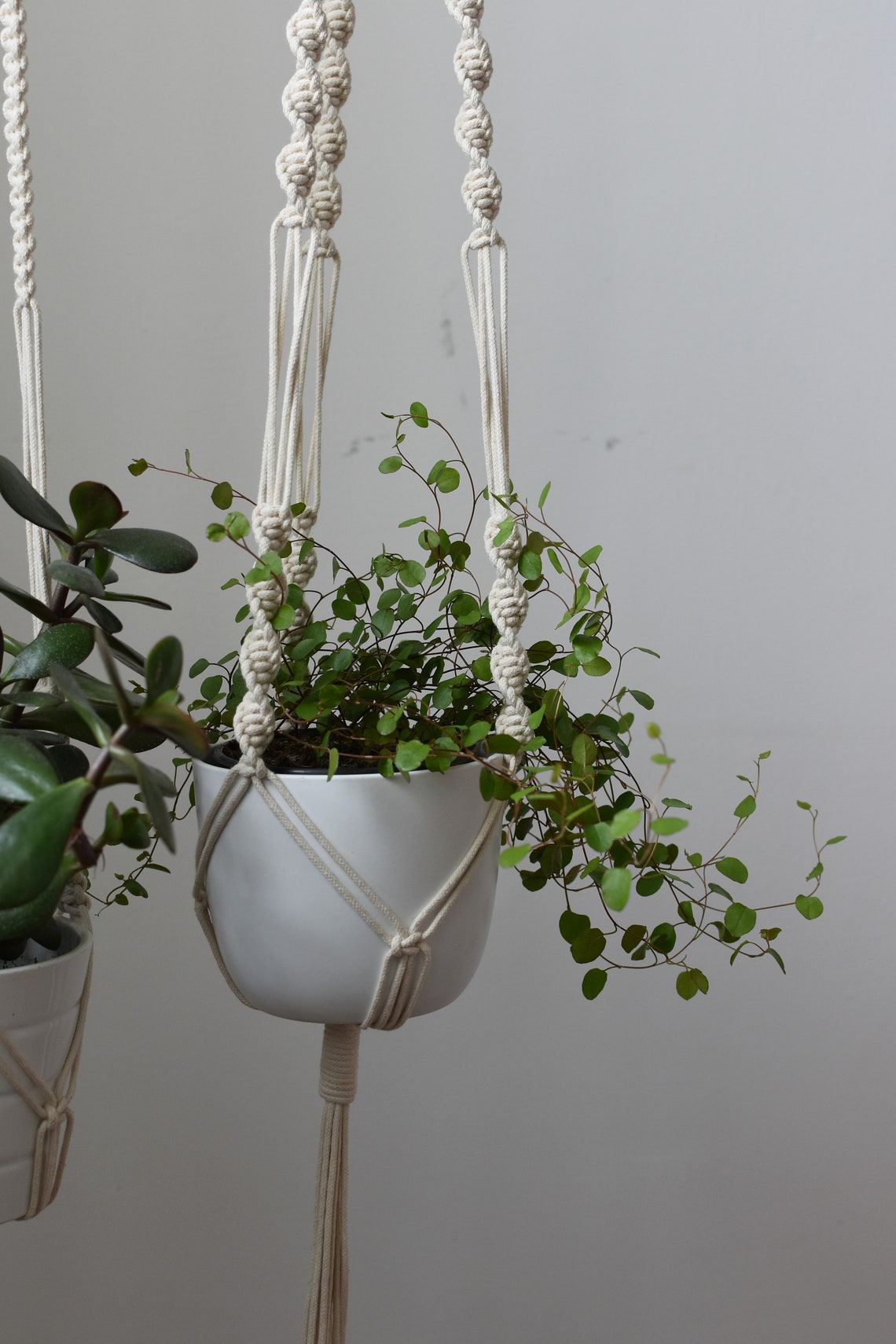 Macrame plant hanger set of 2 small pots hangers bohemian | Etsy