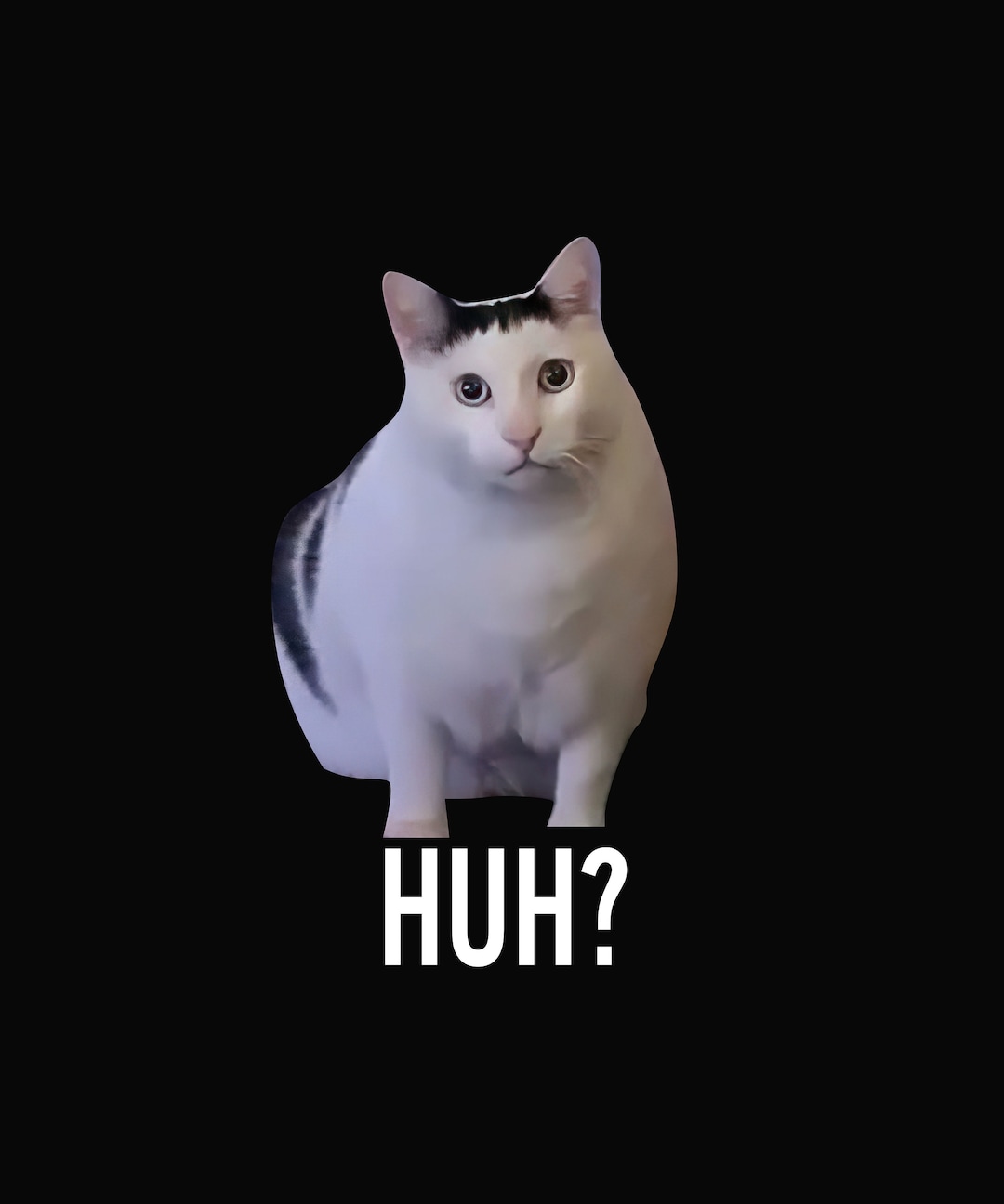 Funny Meme Huh Cat Png, Huh Cat Funny Meme Png, Absurd, Shitpost Shirt ...