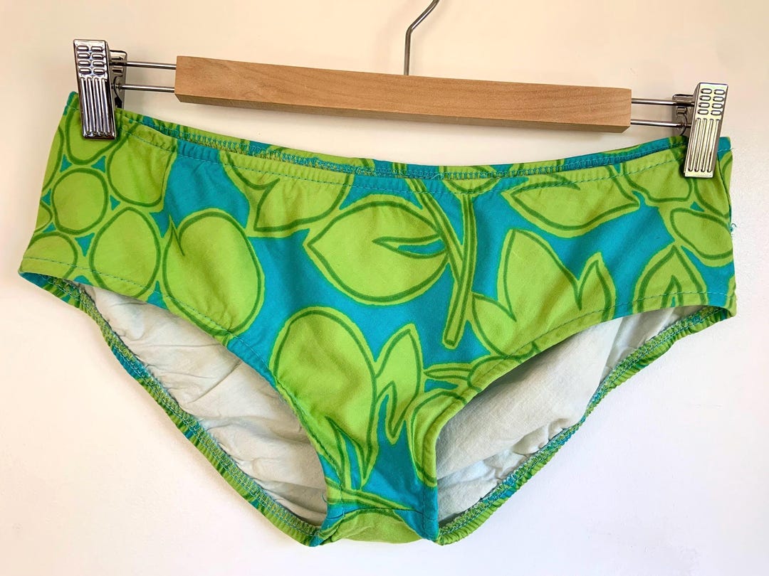 Vintage 1960s or 1970s Low-rise Bathing Suit Bottom, Green and Blue ...